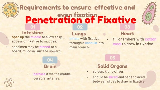 Histological Techniques: Perform Fixation and Tissue Processing | PDF