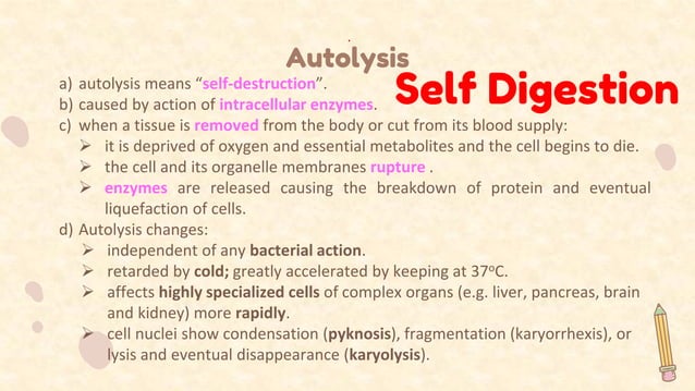 Histological Techniques: Perform Fixation and Tissue Processing | PDF