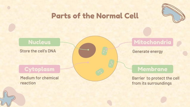 Histological Techniques: Perform Fixation and Tissue Processing | PDF