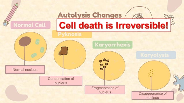 Histological Techniques: Perform Fixation and Tissue Processing | PDF