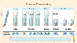 Histological Techniques: Perform Fixation and Tissue Processing | PPT