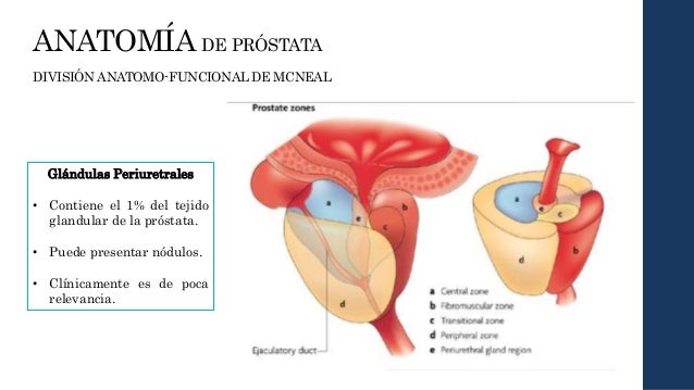 HIPERPLASIA PROSTÁTICA BENIGNA