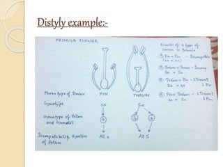 self incompatibility and male sterility | PPTX
