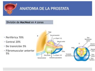 HPB RESENDIZ PEREZ SALVADOR, HIPERPLASIA PROSTATICA BENIGNA, .pptx