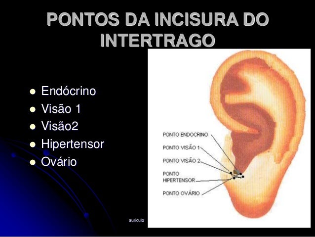 Curso de auriculo introdu%80%a0%a6%e7%e3o
