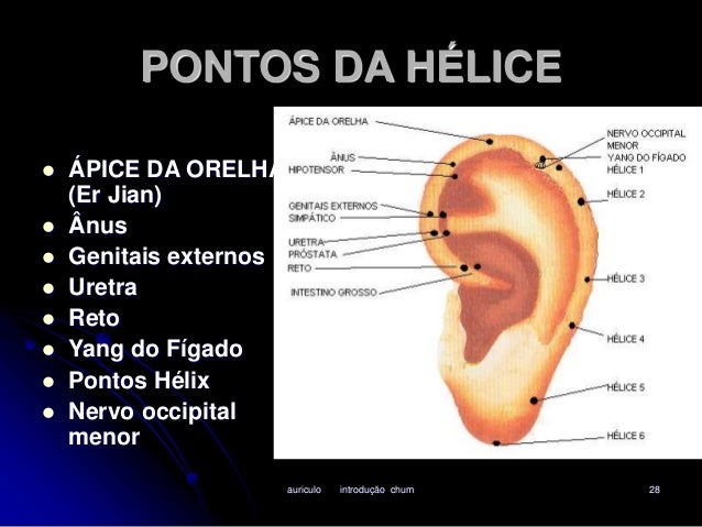 Curso de auriculo introdu%80%a0%a6%e7%e3o
