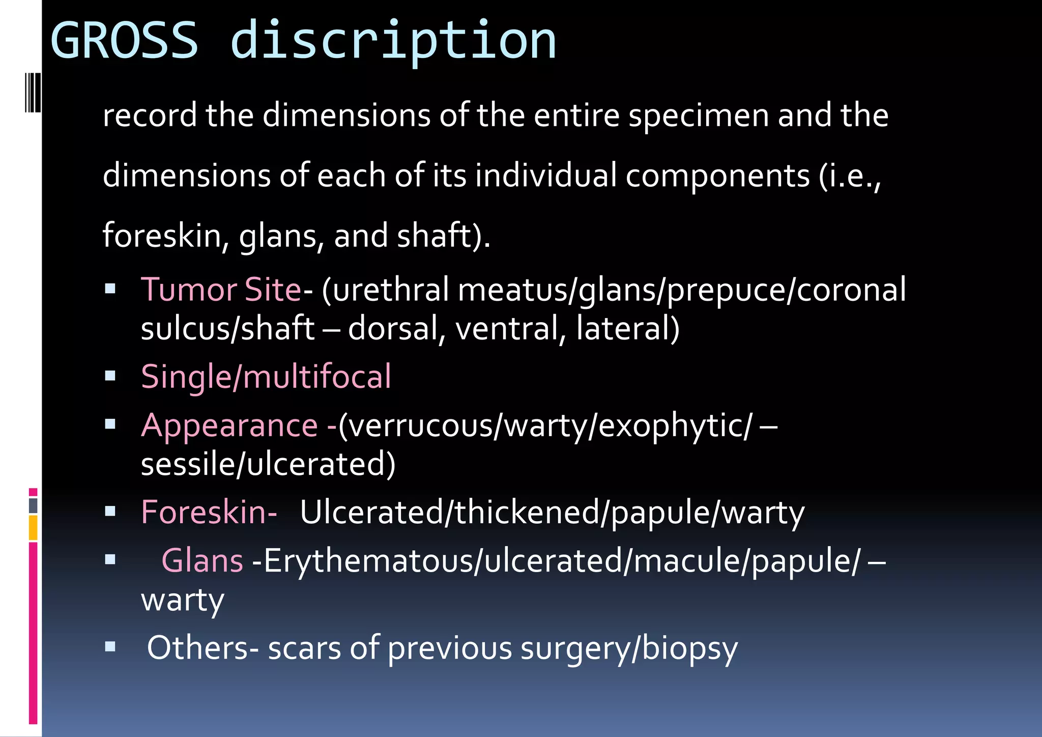 HPE GROSSING OF PENECTOMY | PPTX