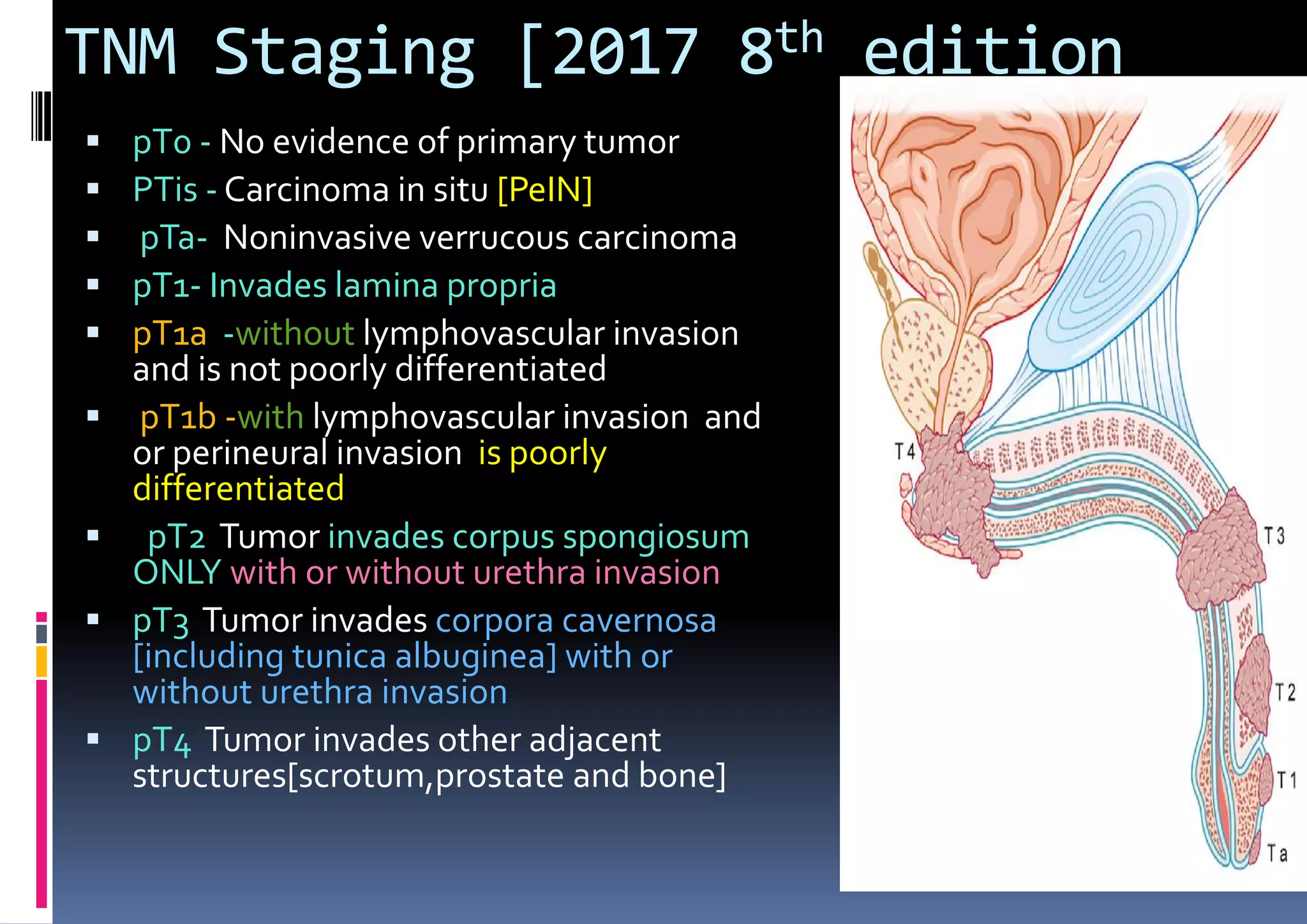 HPE GROSSING OF PENECTOMY | PPTX