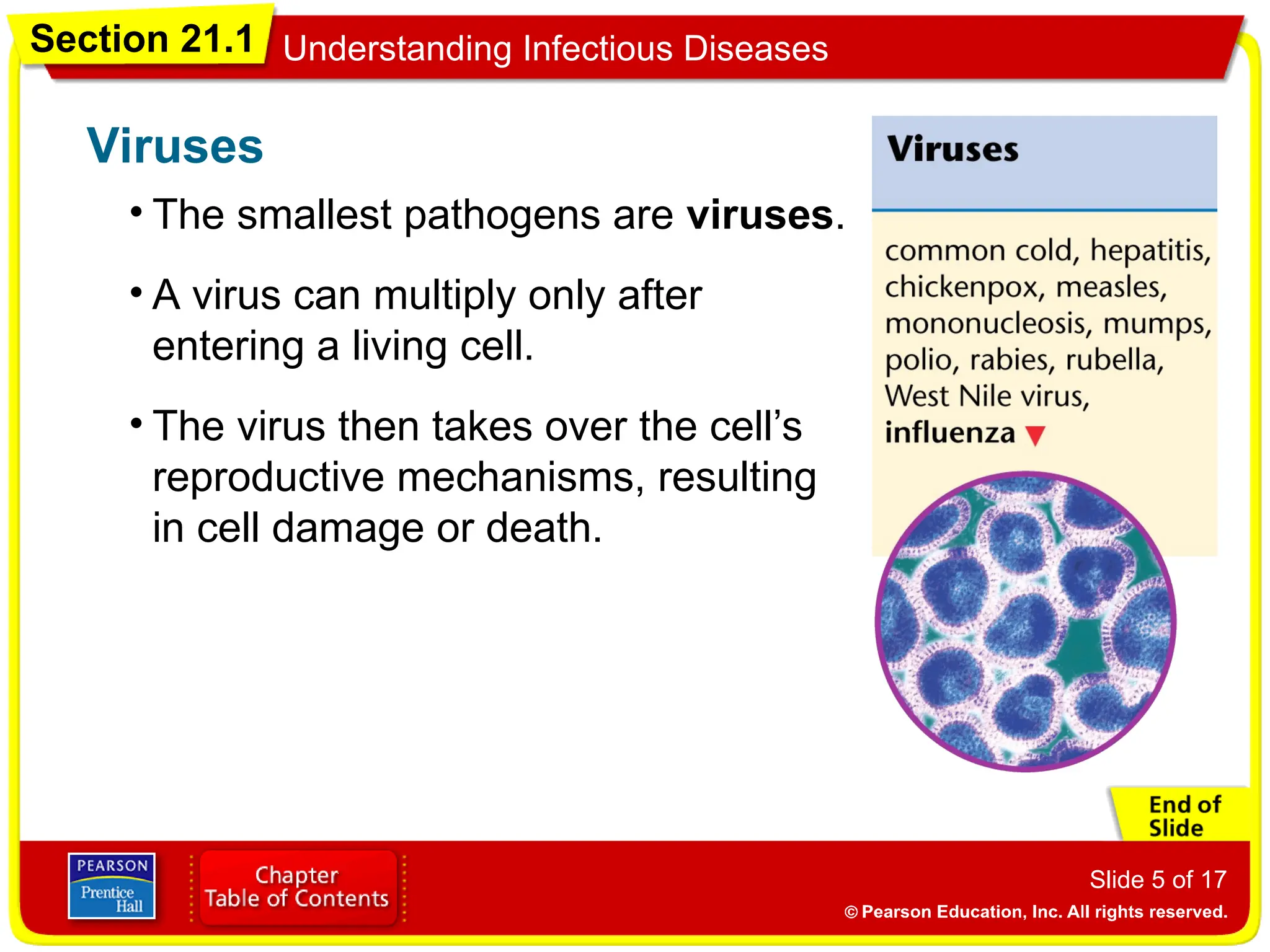 Infection disease identification and control | PPT