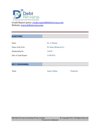 Create Business Information Report by Debt Nirvana | PDF