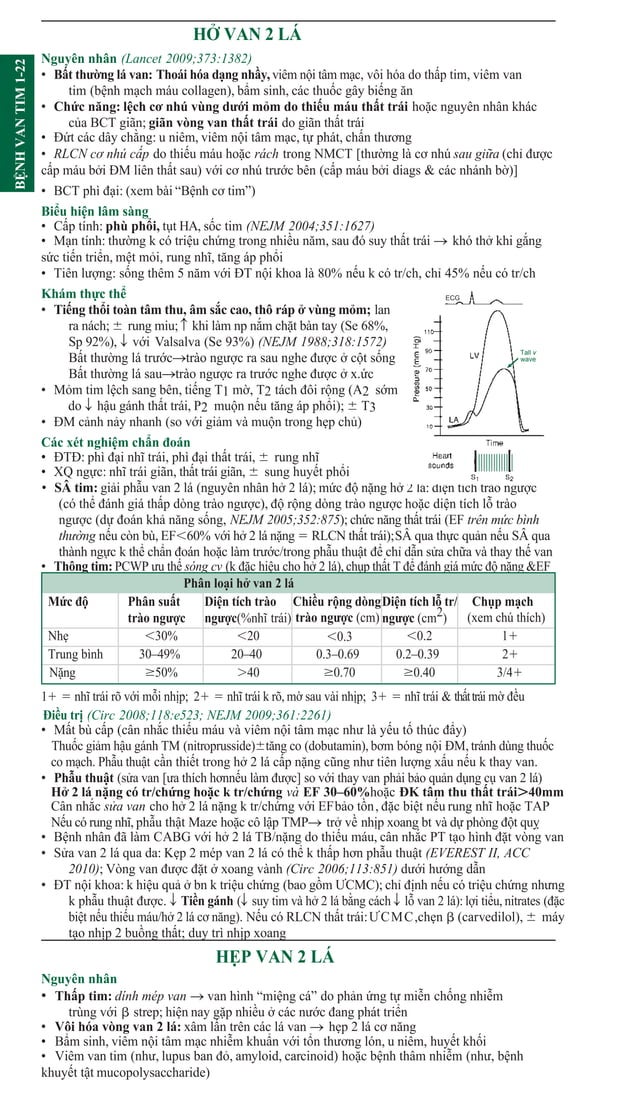hẹp, hở, sa van hai lá.pdf