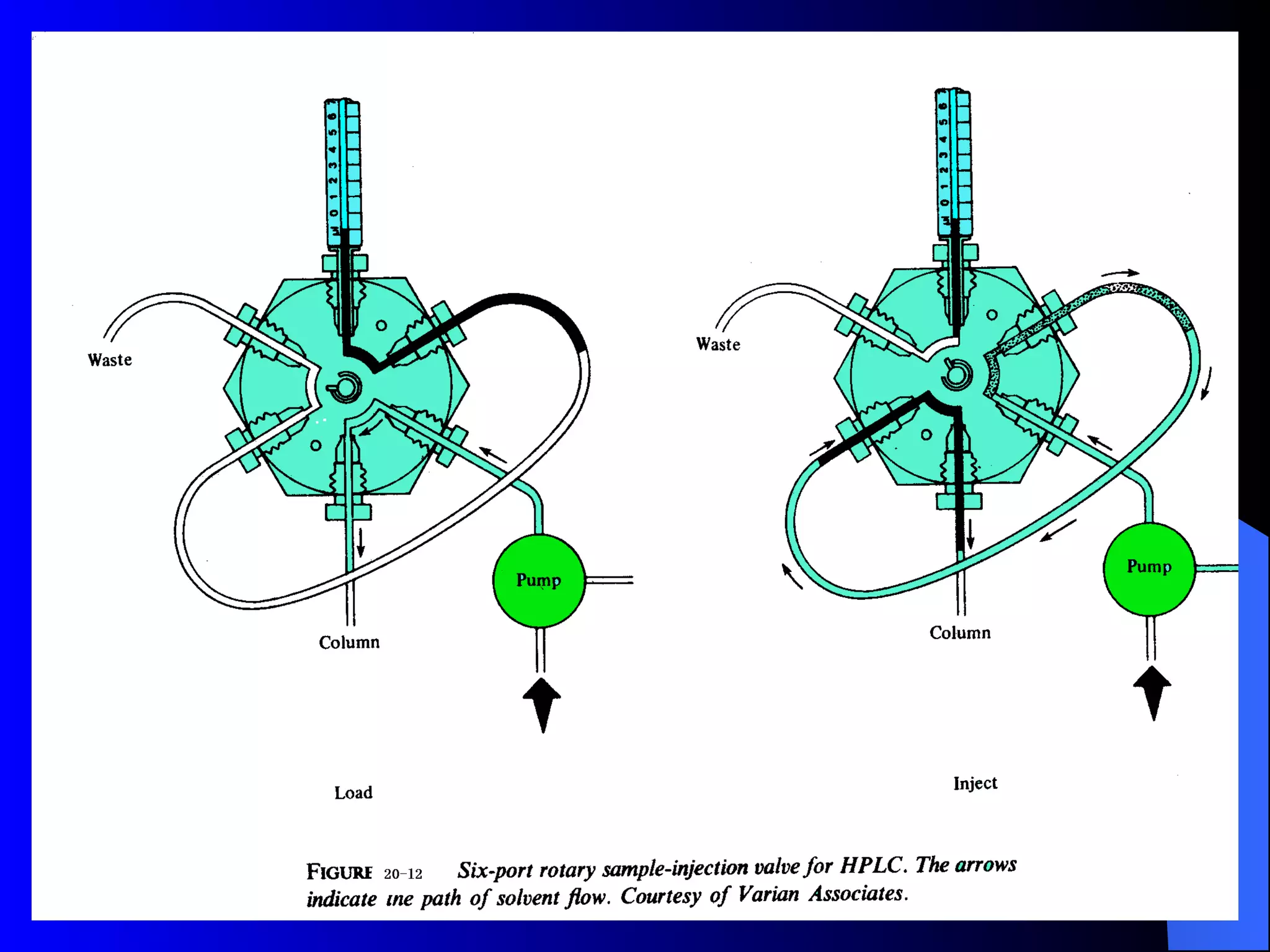 the basic knowledge of HPLC | PPT