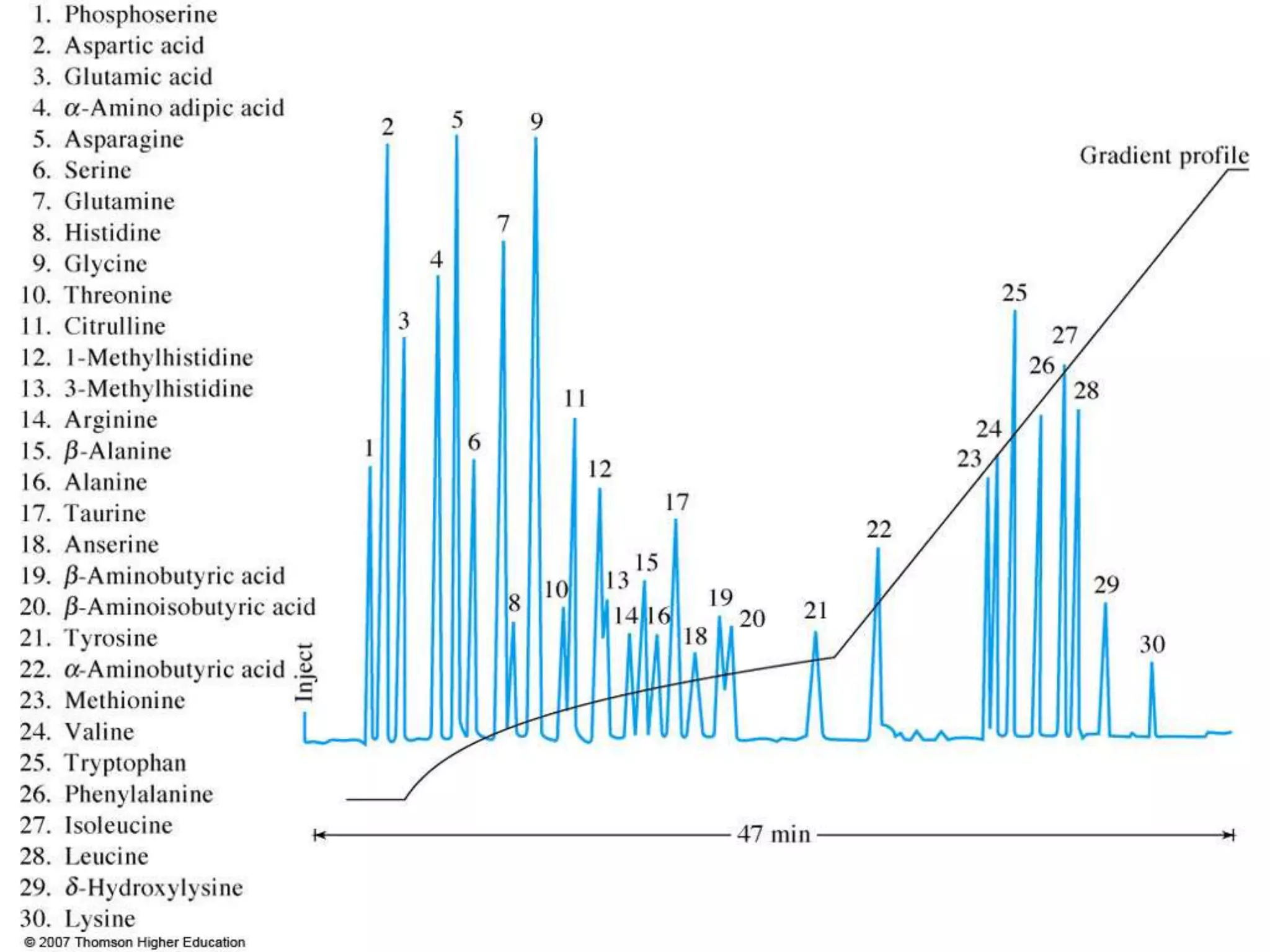 HPLC.ppt