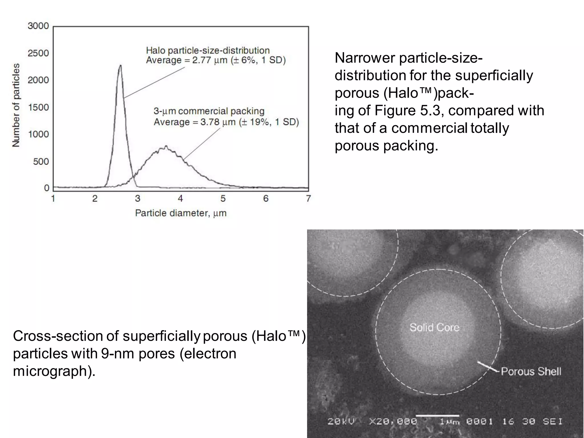HPLC COLUMN .pdf