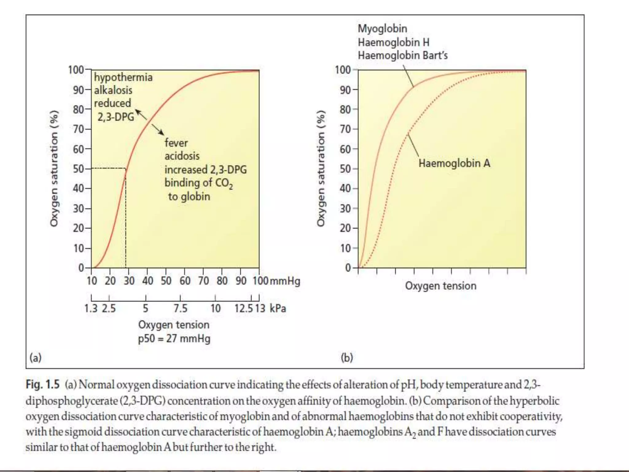 Hplc interpretation | PPT
