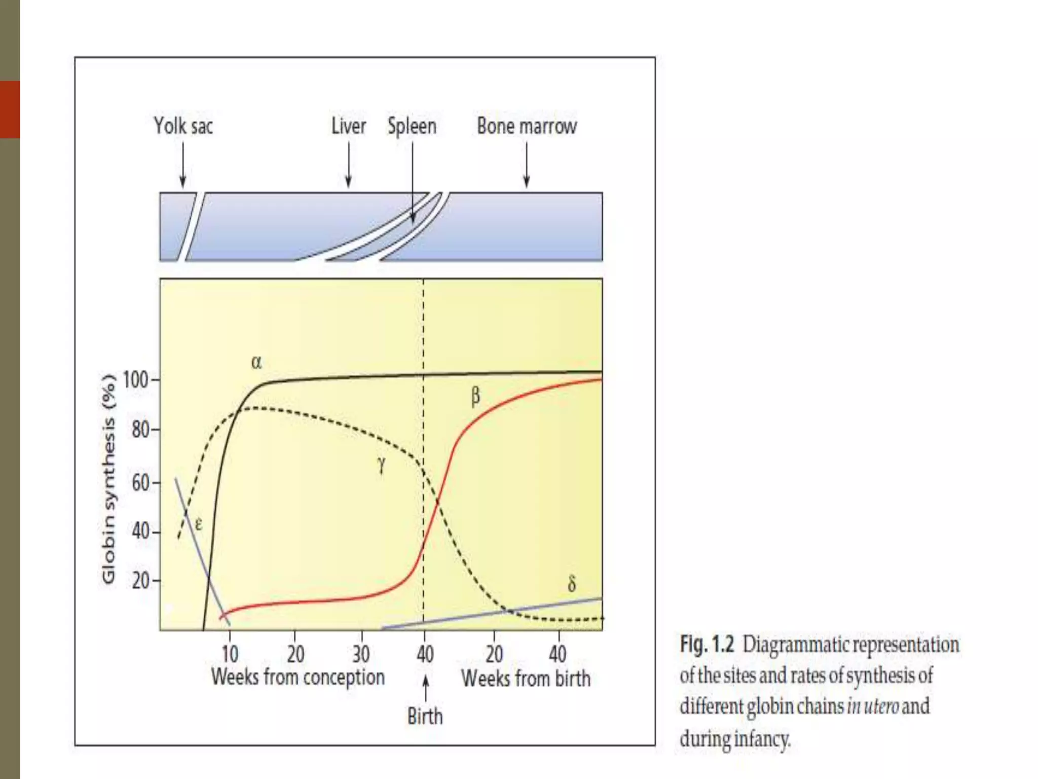 Hplc interpretation | PPT