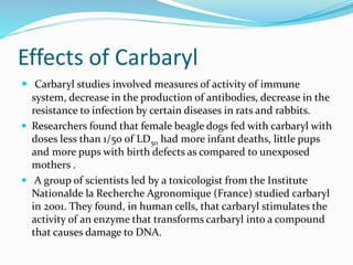 hplc treaning presetation.pptx