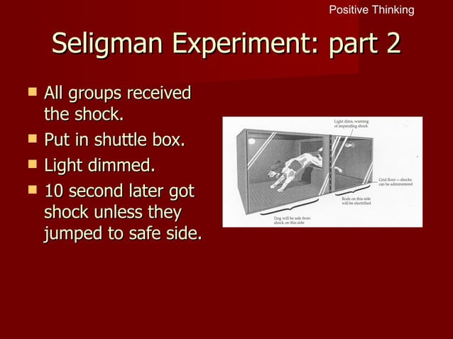 Martin Seligman's Theories | PPT