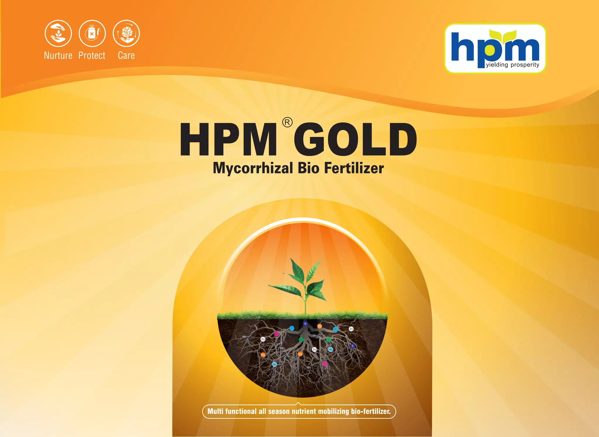 Hpm gold ppt | PDF