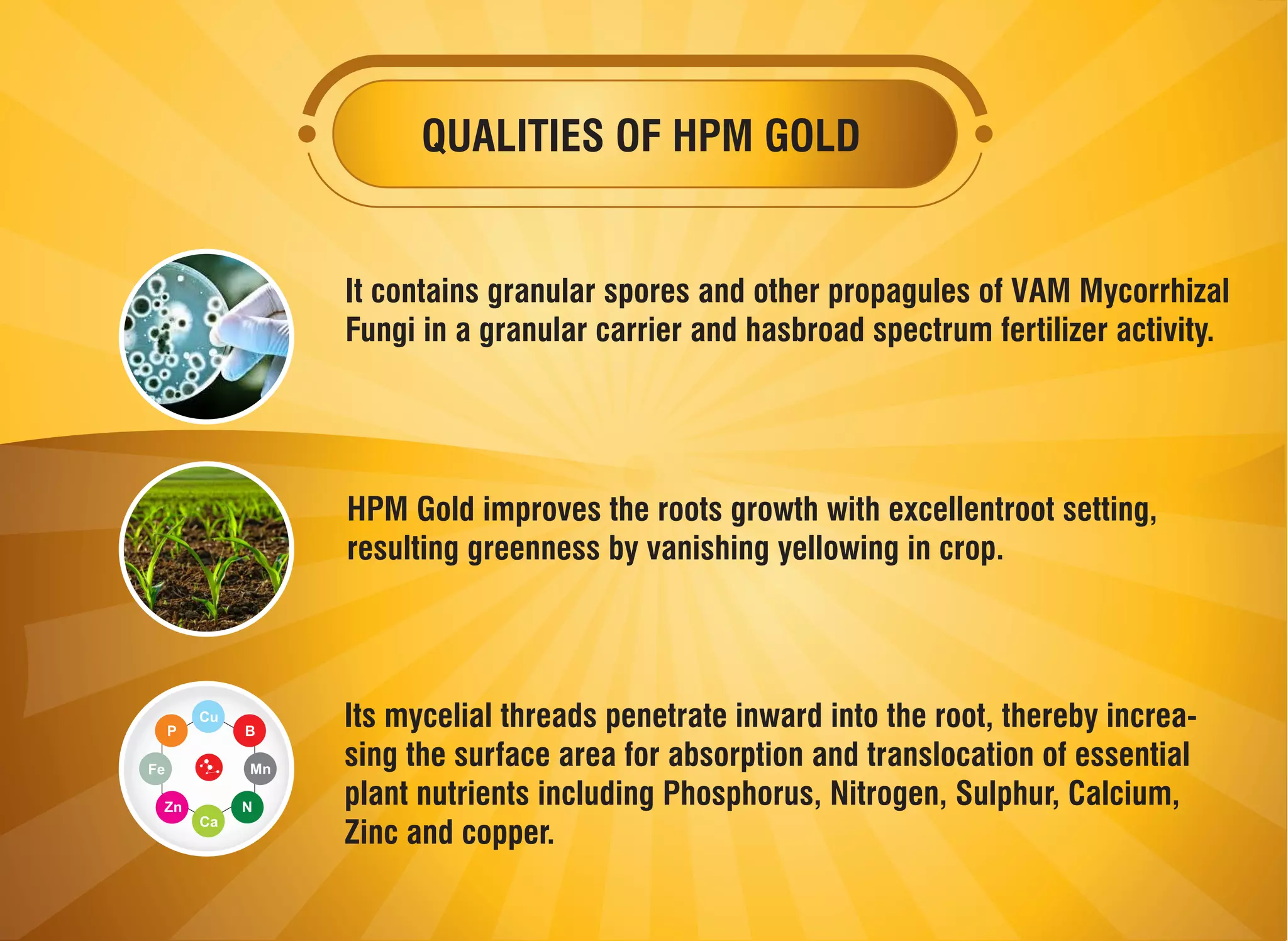 Hpm gold ppt | PDF