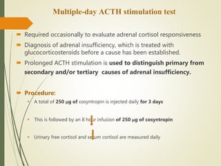 Do Dogs Need To Fast For Acth Stim Test
