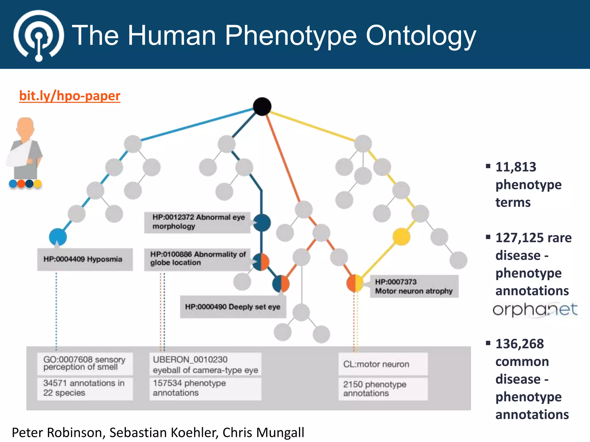 Patient-led deep phenotyping using a lay-friendly version of the Human Phenotype Ontology | PPTX