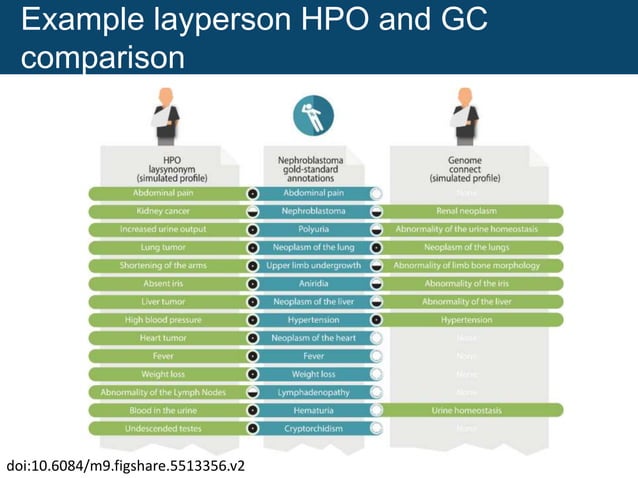 Patient-led deep phenotyping using a lay-friendly version of the Human ...
