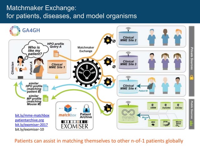Patient-led deep phenotyping using a lay-friendly version of the Human ...