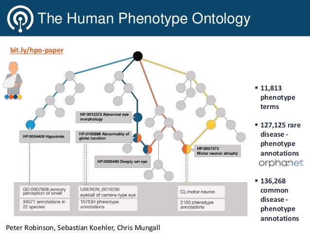 Patient-led deep phenotyping using a lay-friendly version of the Huma…