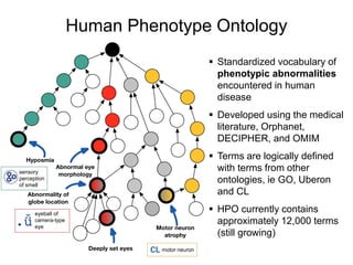 Enhancing the Human Phenotype Ontology for Use by the Layperson | PPTX