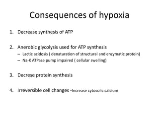 Monitoring Hypoxia and oxygen supplementation | PPTX