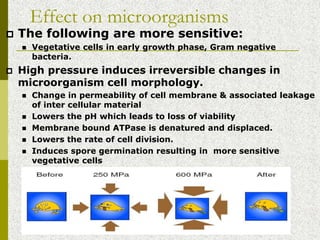 High Pressure Processing | PPT