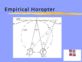 Binocular vision | PPT