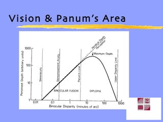 fixation disparity | PPT