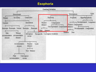 Horizontal Deviations | PPT