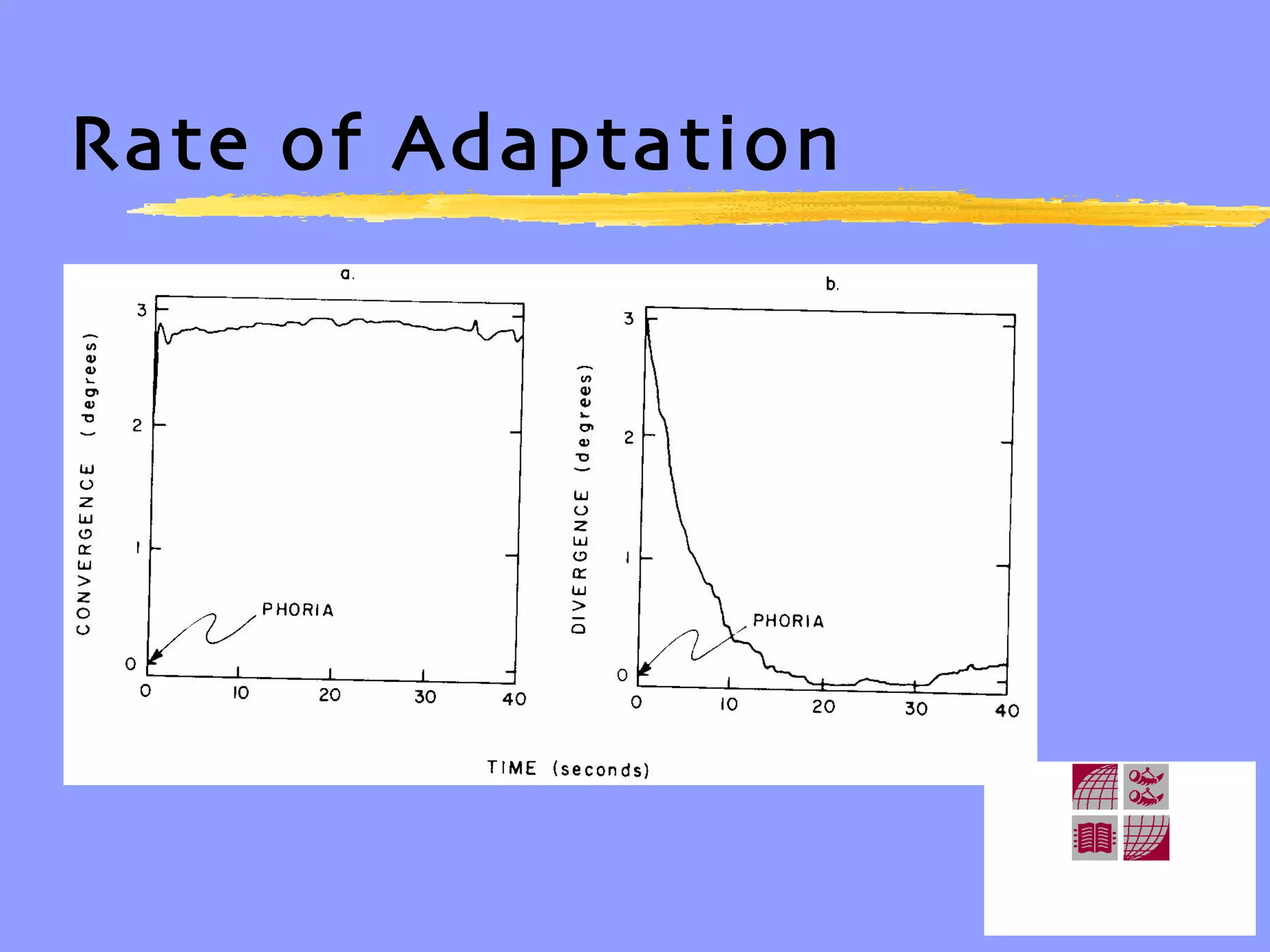 Prism Adaptation Ppt