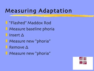 Prism adaptation | PPT