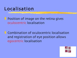Spatial Localisation | PPT