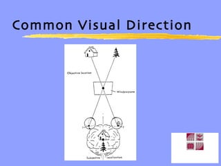 Spatial Localisation | PPT