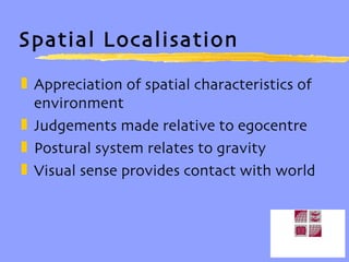 Spatial Localisation | PPT