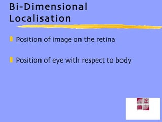 Spatial Localisation | PPT
