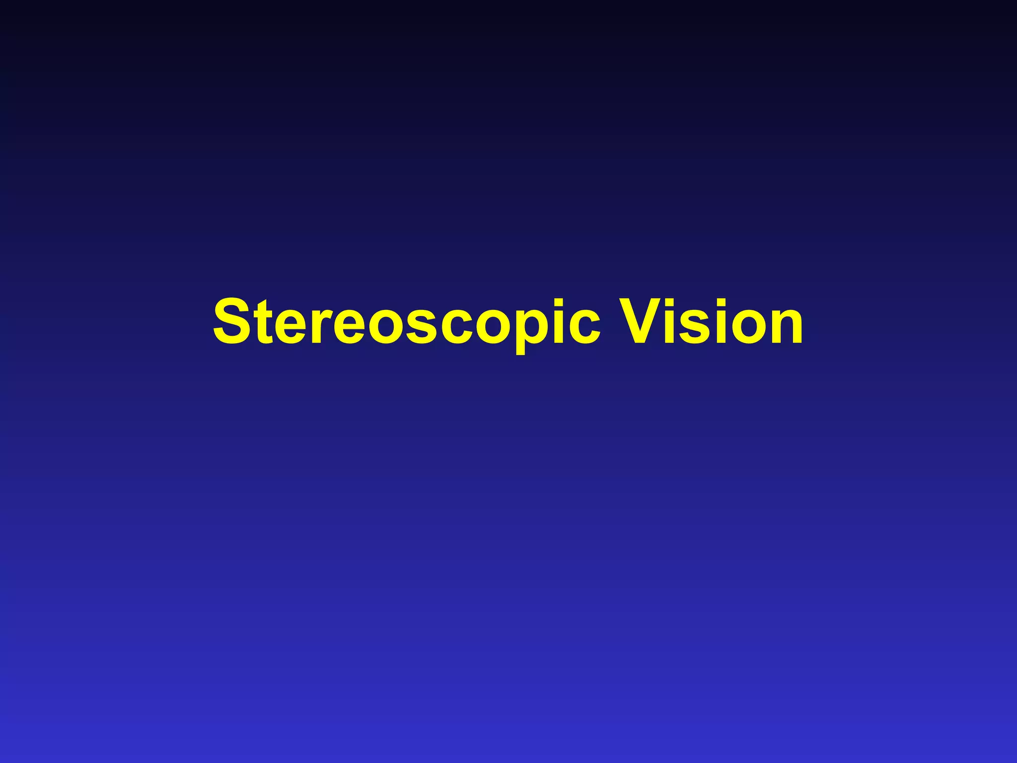Stereoscopic Vision | PPT