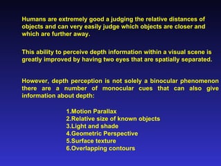 Stereoscopic Vision | PPT