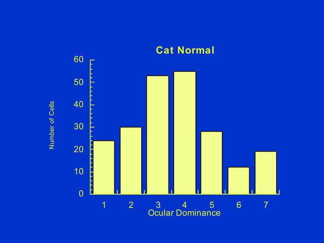 Studies of abnormal visual development | PPT | Eye and Vision ...