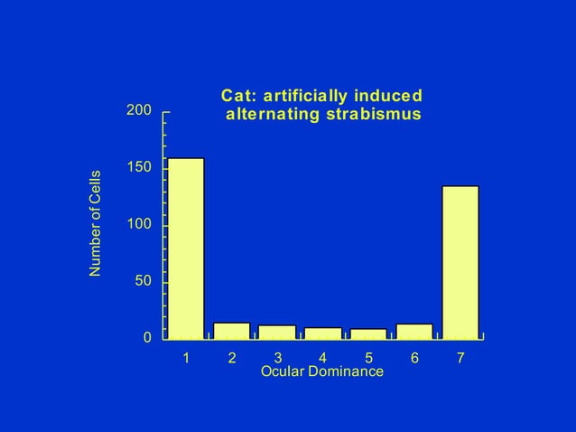 Studies of abnormal visual development | PPT | Eye and Vision ...