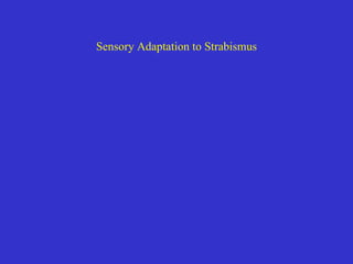 Sensory Adaptation to Strabismus | PPT