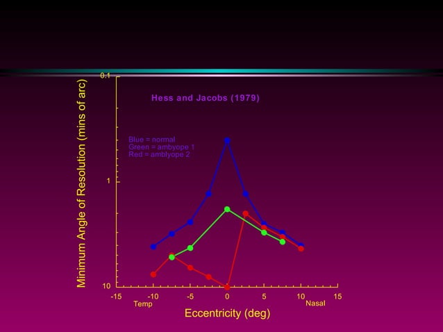 Eccentric Fixation | PPT