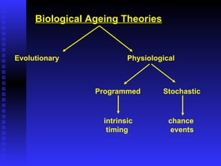Aging Theories | PPT