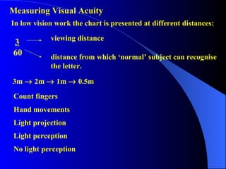 The Low Vision Examination | PPT