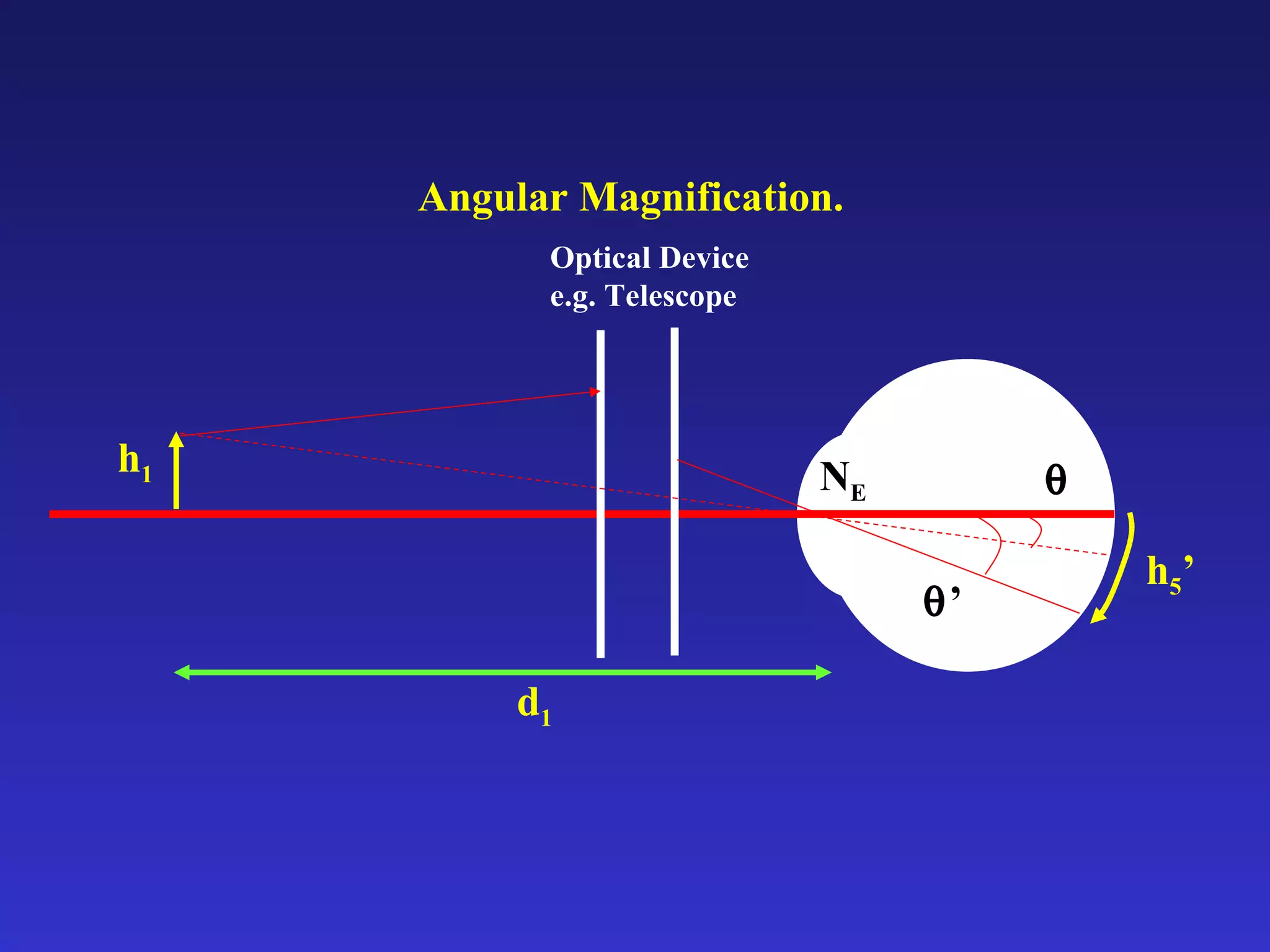 Magnification | PPT
